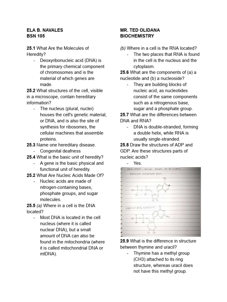BIOCHEM MIDTERM OUTPUT (Ela Navales) | Download Free PDF | Rna | Dna ... BIOCHEM MIDTERM OUTPUT (Ela Navales) | Download Free PDF | Rna | Dna ...