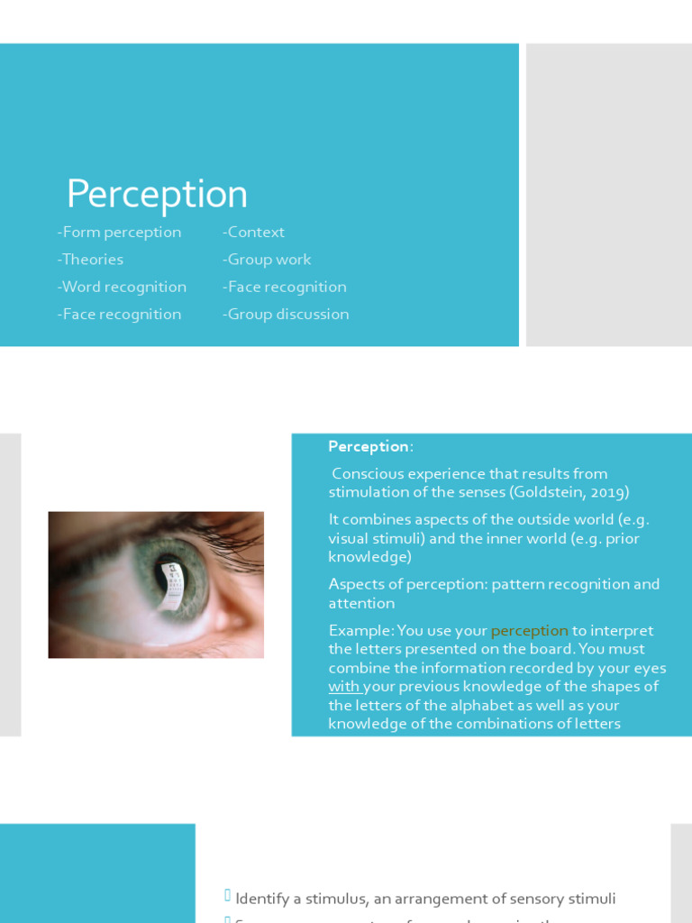 Chap.3 Perception | PDF | Perception | Information