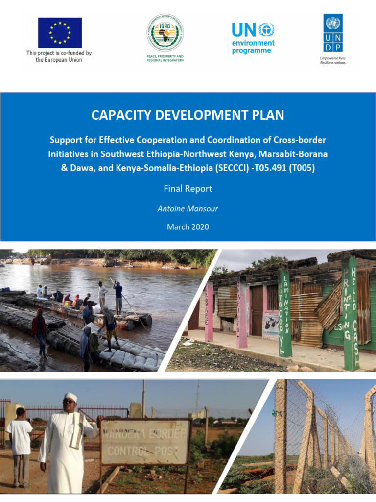 Capacity Development Plan - Final Report - Antoine Mansour - 3.2 | PDF | Focus Group | Survey ...