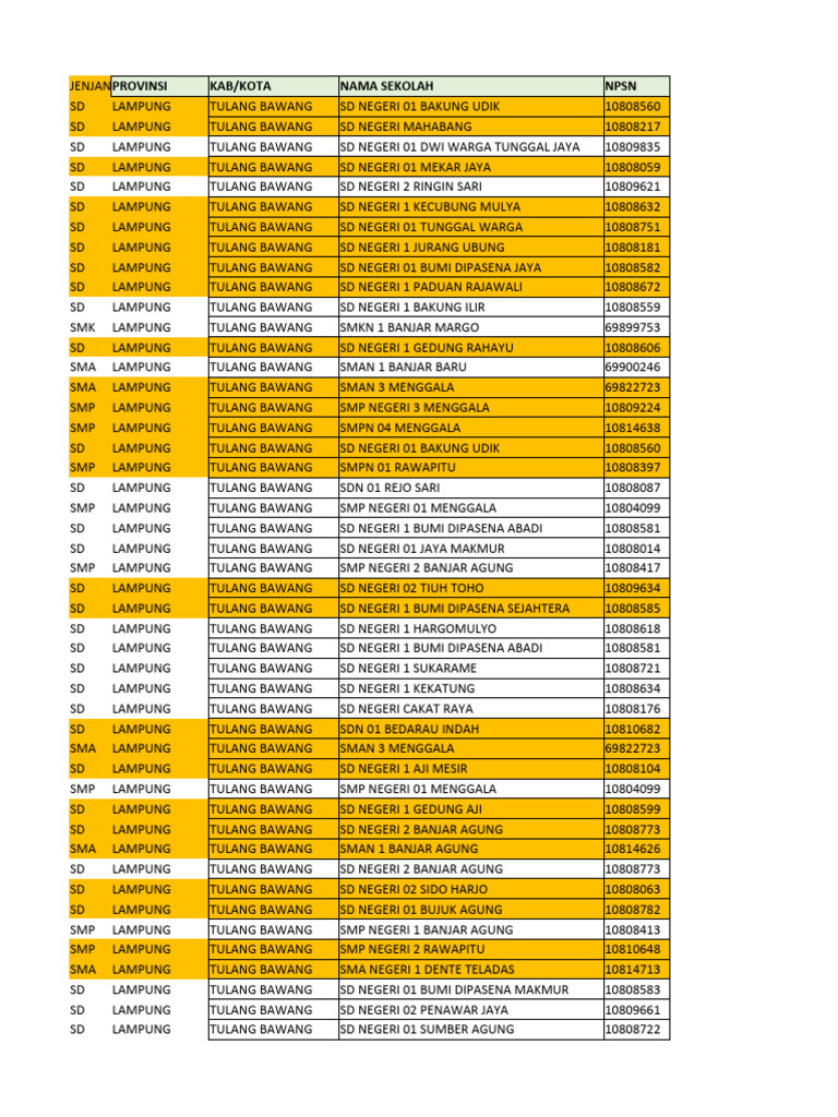 DATA SKP PMM 16-01-2024 | PDF