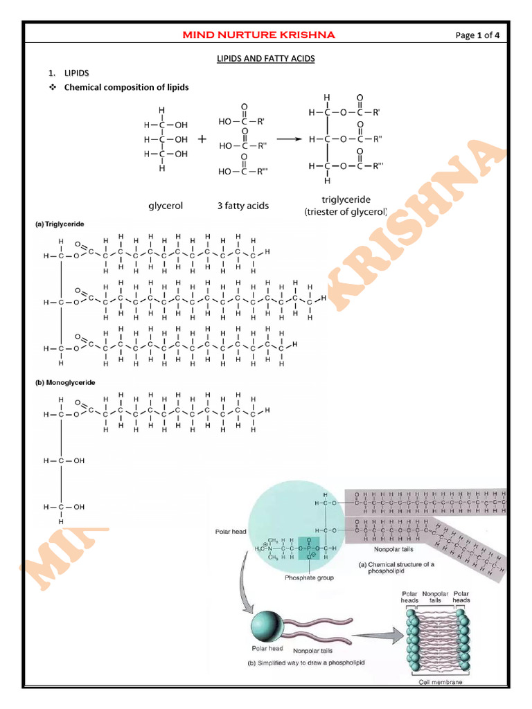 L-1 Fatty Acids & Lipids | PDF | Lipid | Fatty Acid