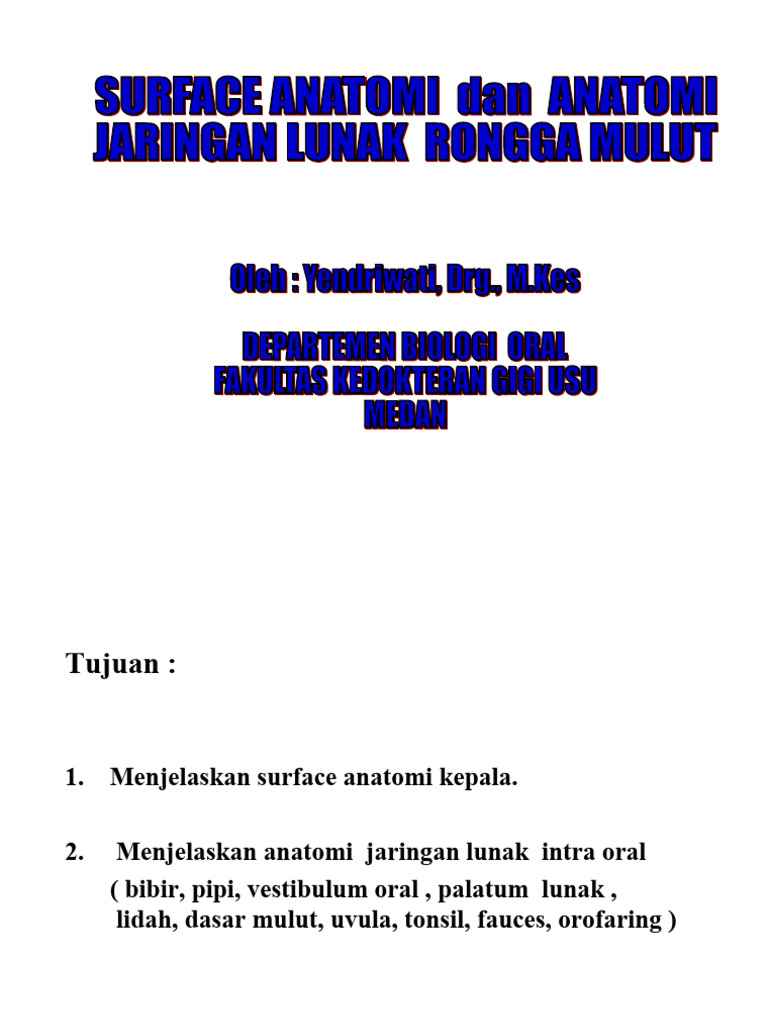 Surface Anatomi & Struktur RM. | PDF