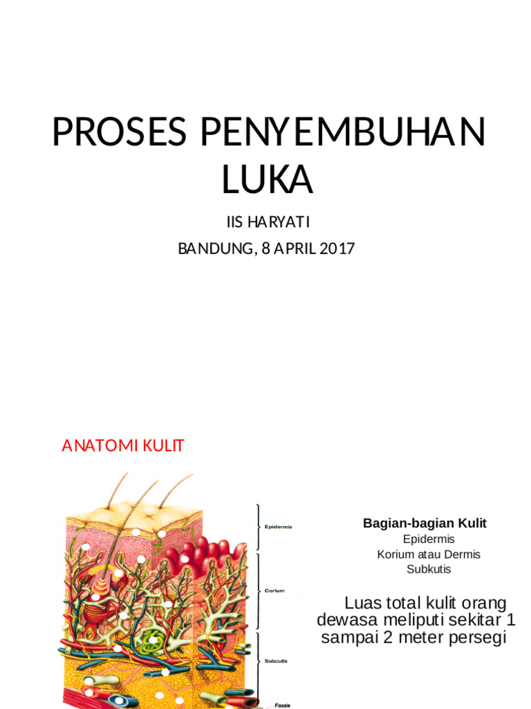 KMB Proses Penyembuhan Luka | PDF