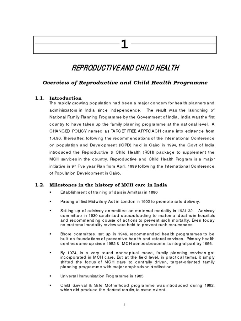 Report RCH Workshop | PDF | Maternal Death | Pregnancy