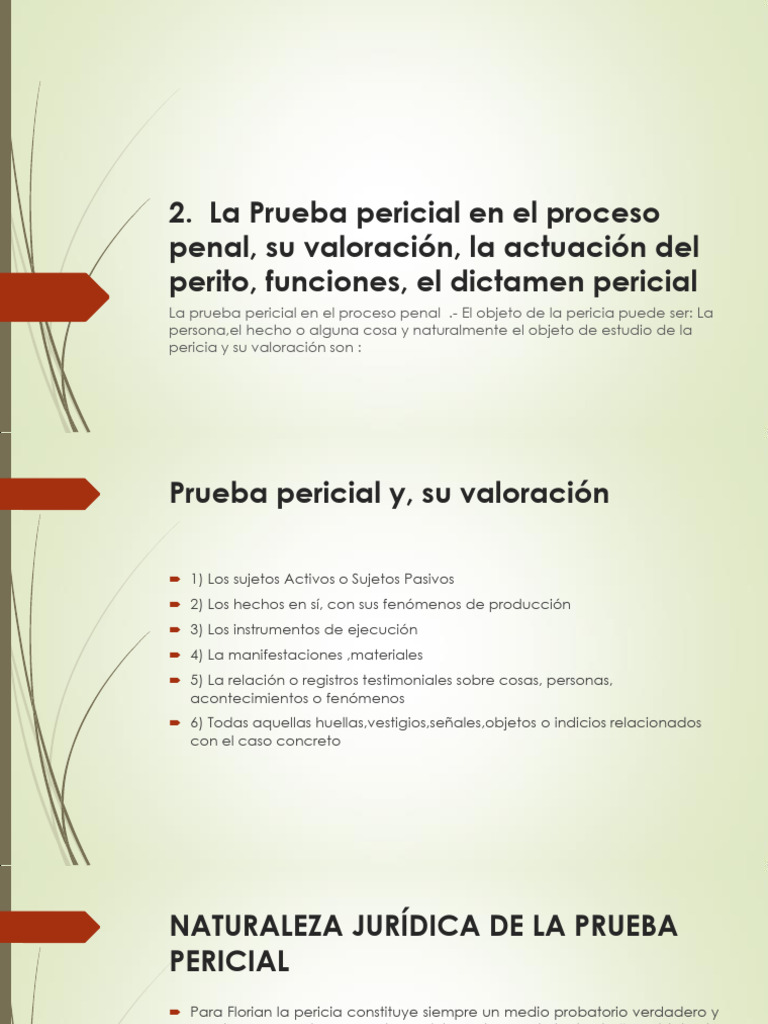 2 La Prueba Pericial | Descargar gratis PDF | Testigo experto | Experto