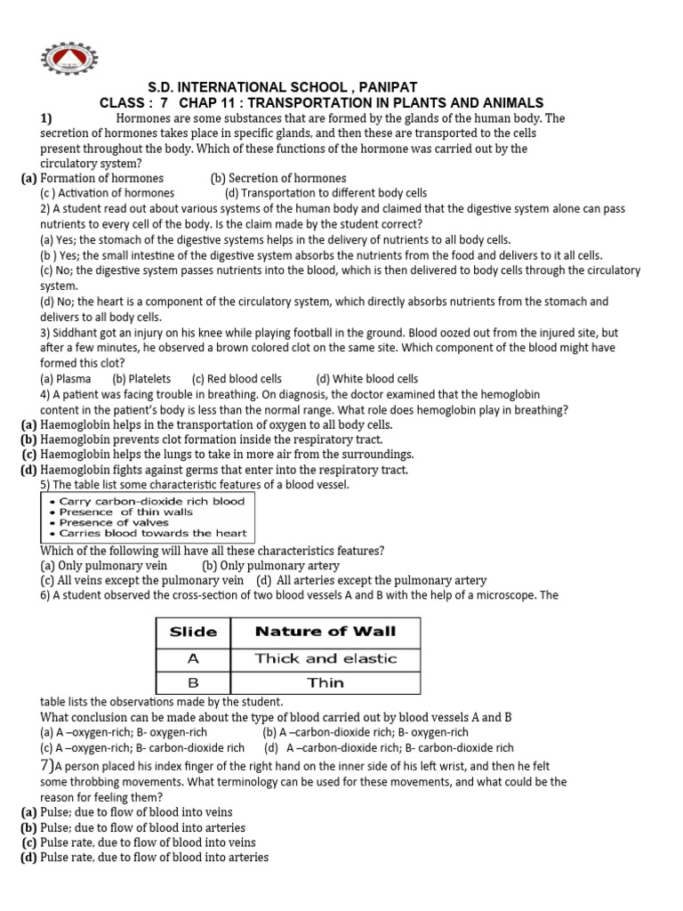 Workht CL 7 ch11 | PDF | Blood | Heart