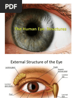 Anatomy and Functions of the Eye | PDF | Human Eye | Lens (Optics)