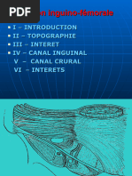 Anatomie du canal inguinal féminin | PDF | Anatomie humaine