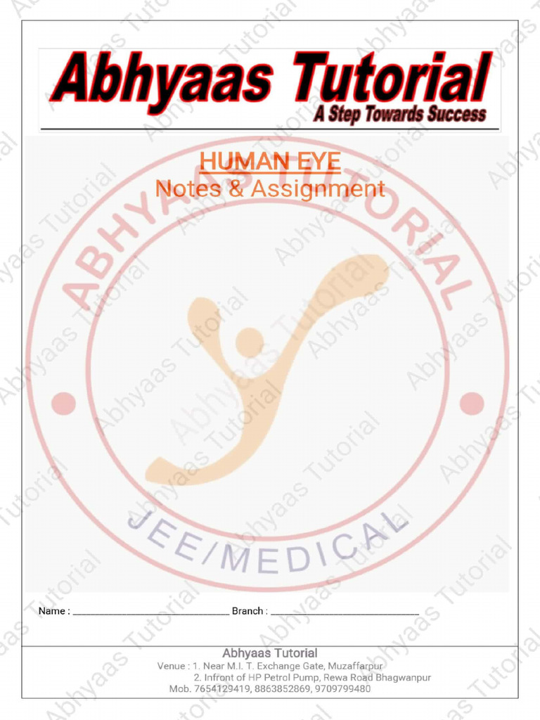 Human Eye | PDF
