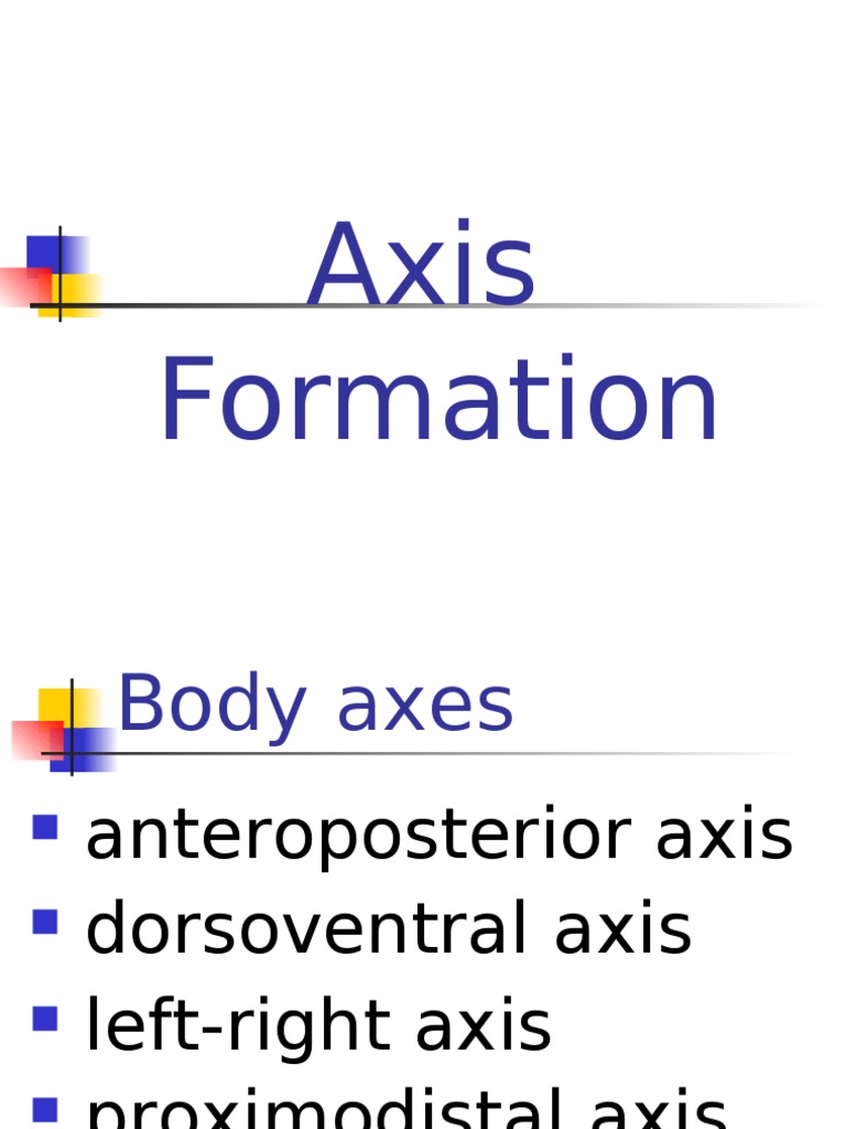 11 Axis Formation | PDF | Developmental Biology | Reproduction