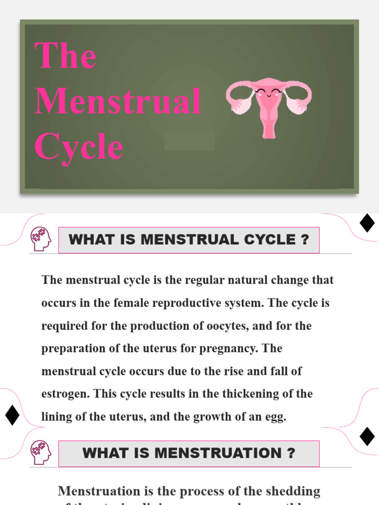 Menstrual Cycle | PDF