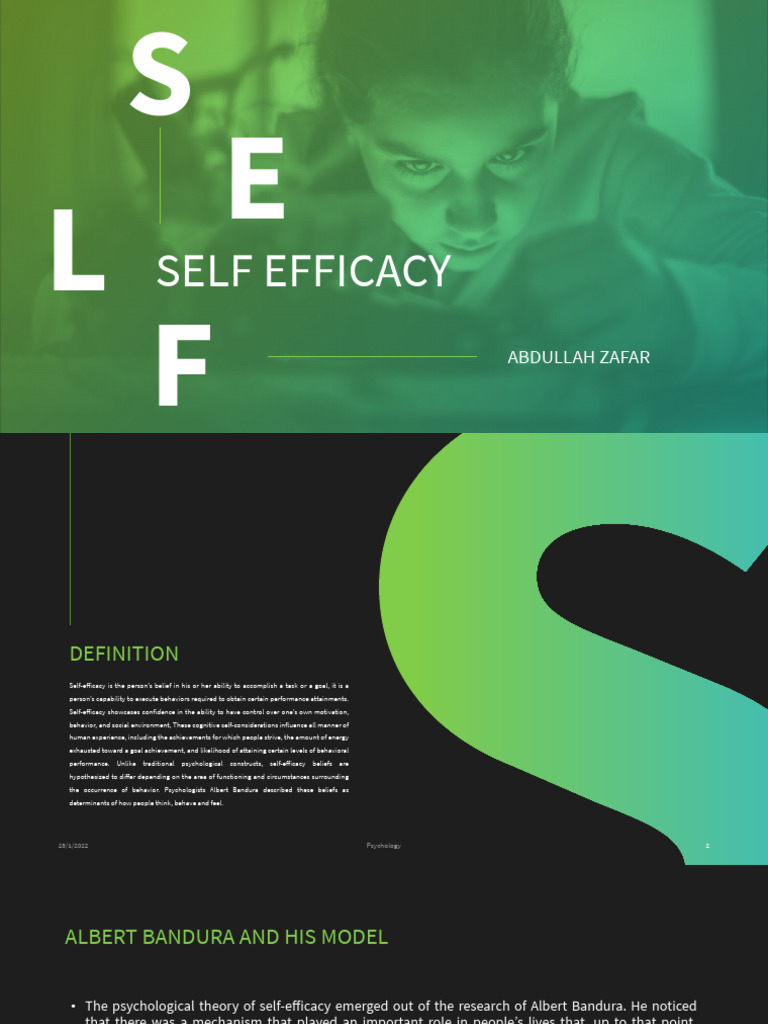 Understanding Self-Efficacy | PDF | Self Efficacy | Goal