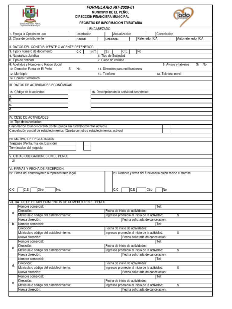 Formularios RIT 2019 | PDF