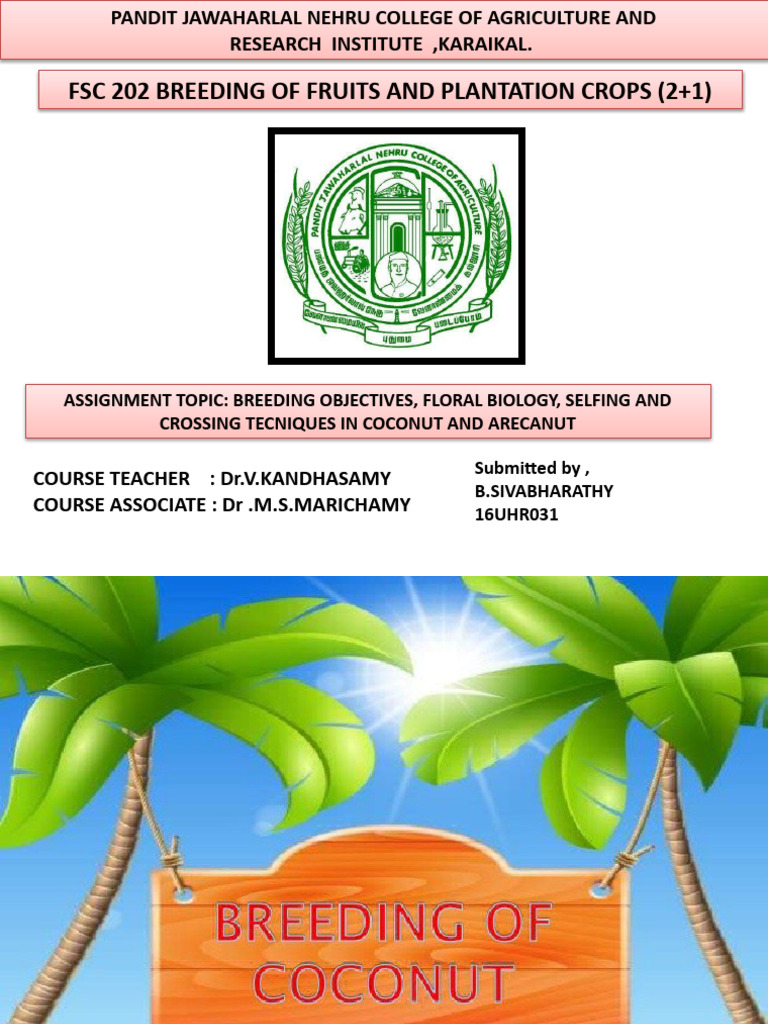 Coconut and Arecanut - Breeding Methods | PDF | Coconut | Flowers