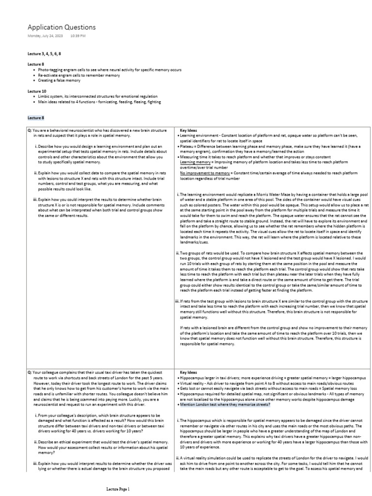 Neuroanatomy Application Questions | PDF | Memory | Hippocampus