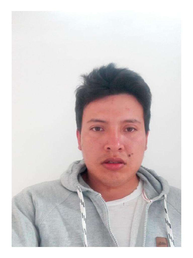 Diego Ramirez Peña ING. de Alimentos | PDF