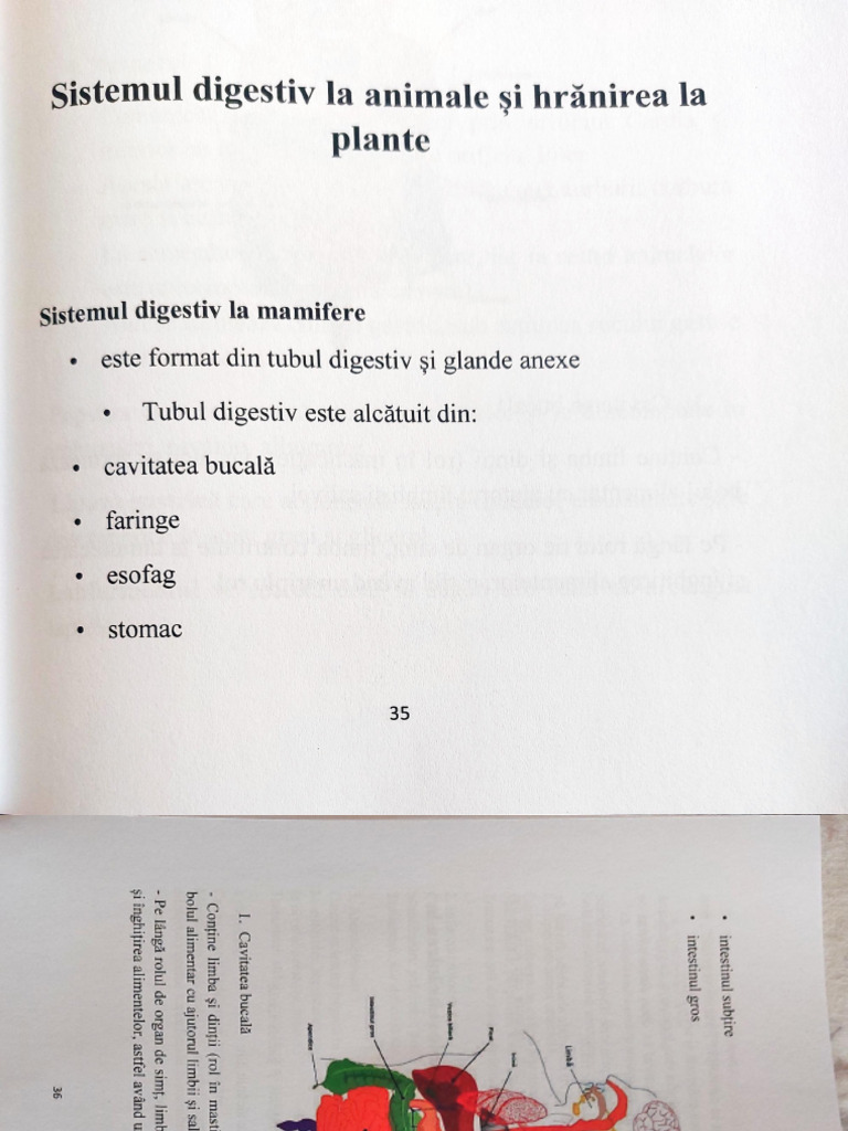 Scan 12 Ian. 24 10 18 31 | PDF