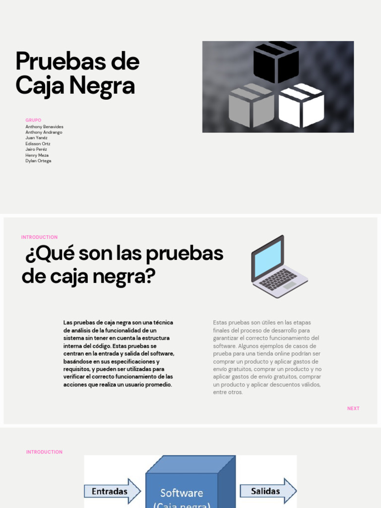 Pruebas de Caja Negra | PDF | Software | Ingeniería de software