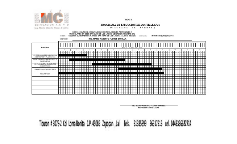 Bases Anexo B FORMATO DE PROGRAMAS | PDF
