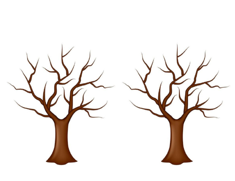 Copacul Toamna | PDF