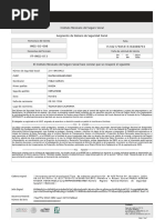 AM-SRT Formato Editable | PDF