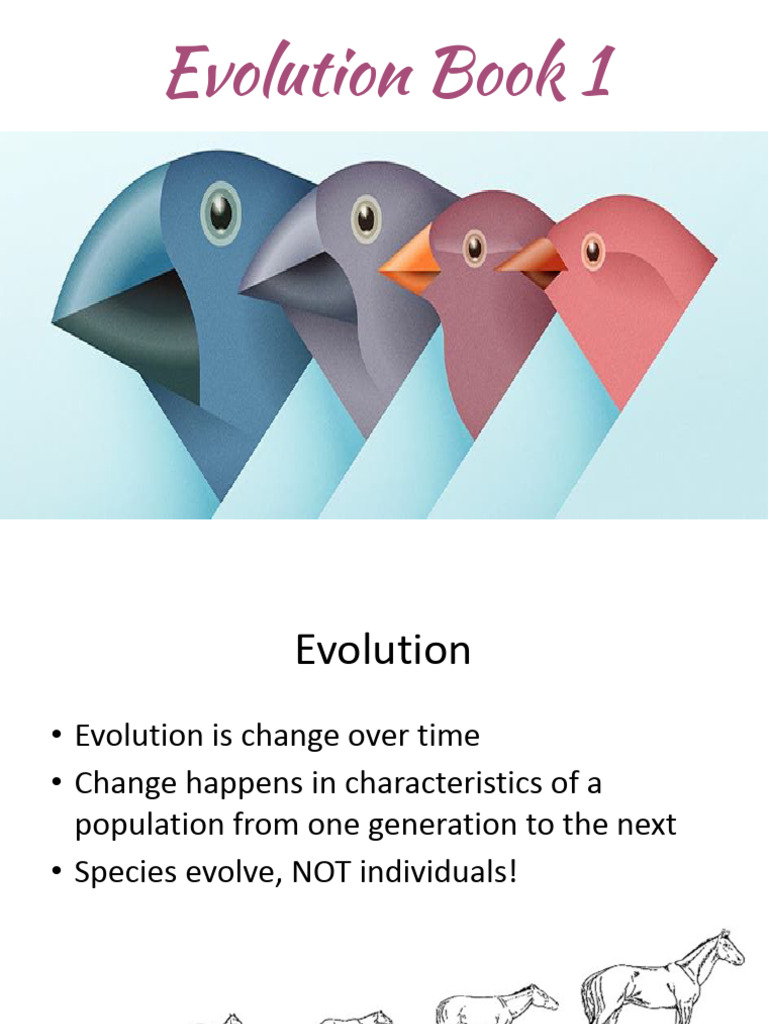 Bio 1 Evolution Slides | PDF | Evolution | Natural Selection