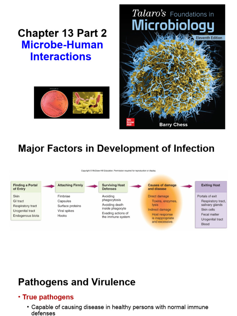 Ch13 Part2 | PDF | Pathogen | Lipopolysaccharide