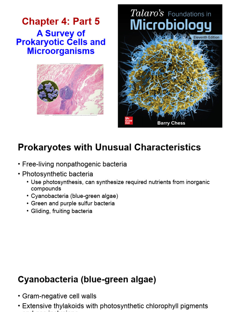 ch4 - Part 5 | PDF | Bacteria | Archaea
