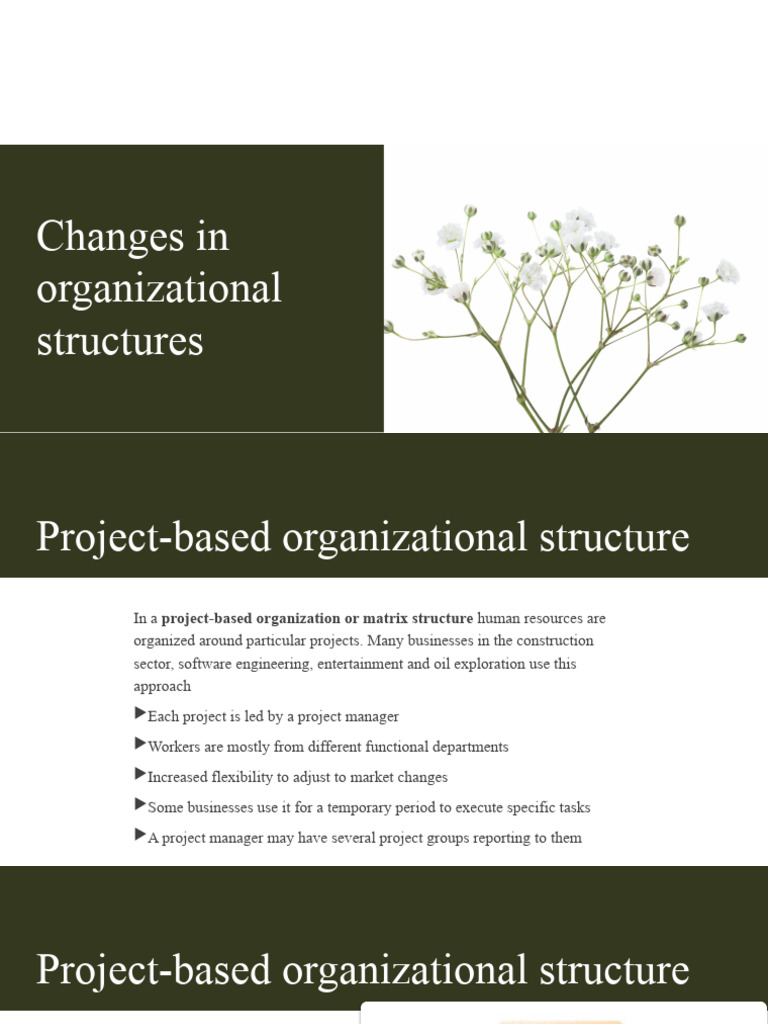 Organizational Structure HL Only | Download Free PDF | Organizational ...
