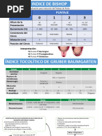 Clasificacion de Johnson | PDF | Cocina, comidas y vino | Salud y bienestar