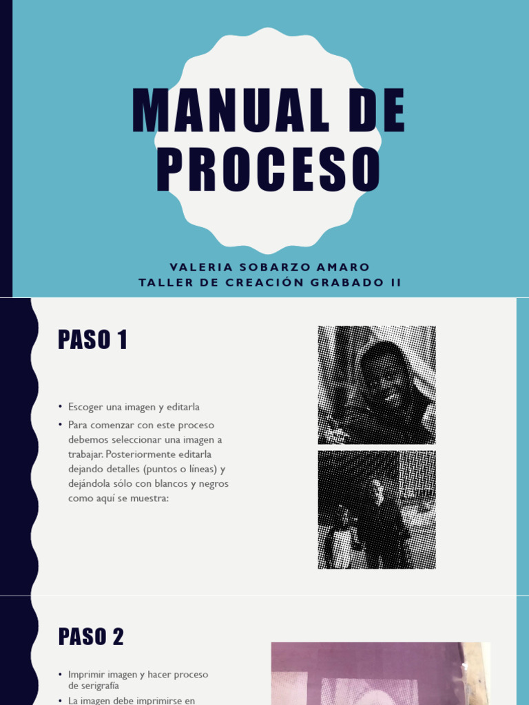 Manual de Proceso | PDF