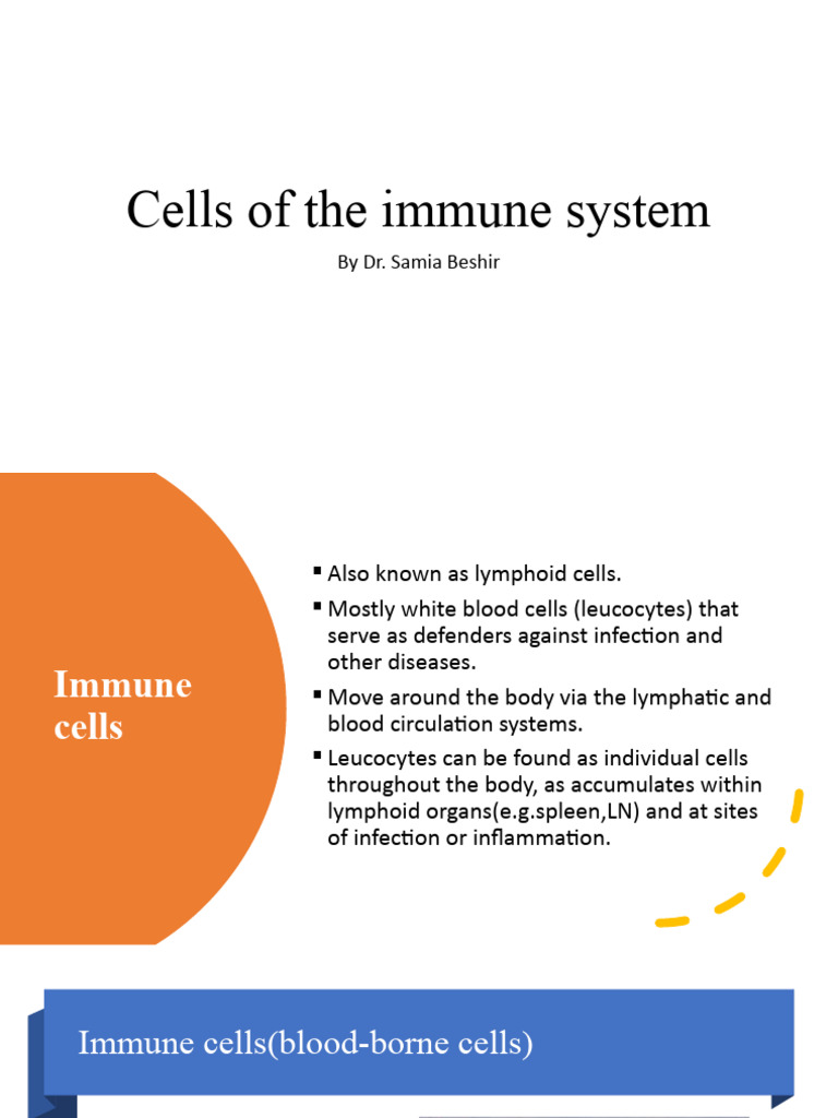 2.cells of Immune System Notes Powerpoint | PDF | T Cell | Granulocyte