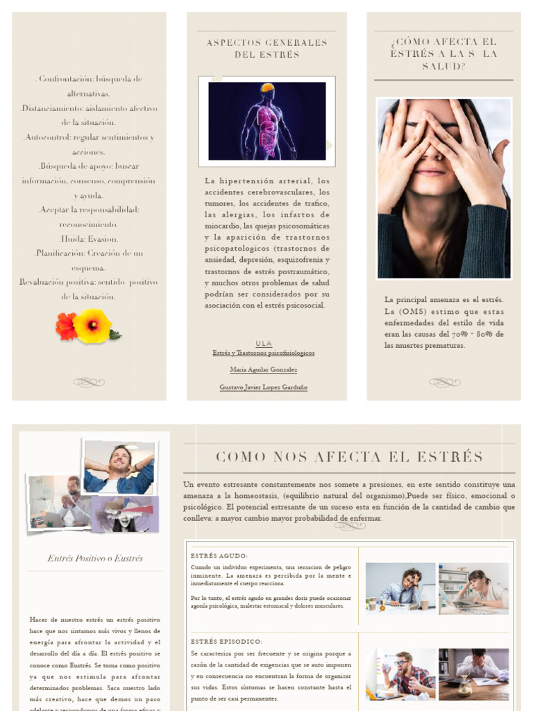 Triptico Del Estres - 2 | PDF | Estrés (biología) | Enfermedades y trastornos