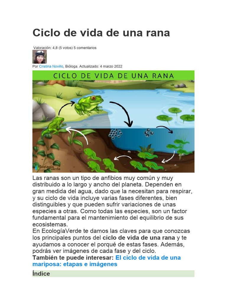 Ciclo de Vida de Una Rana | PDF | Embrión | Reproducción