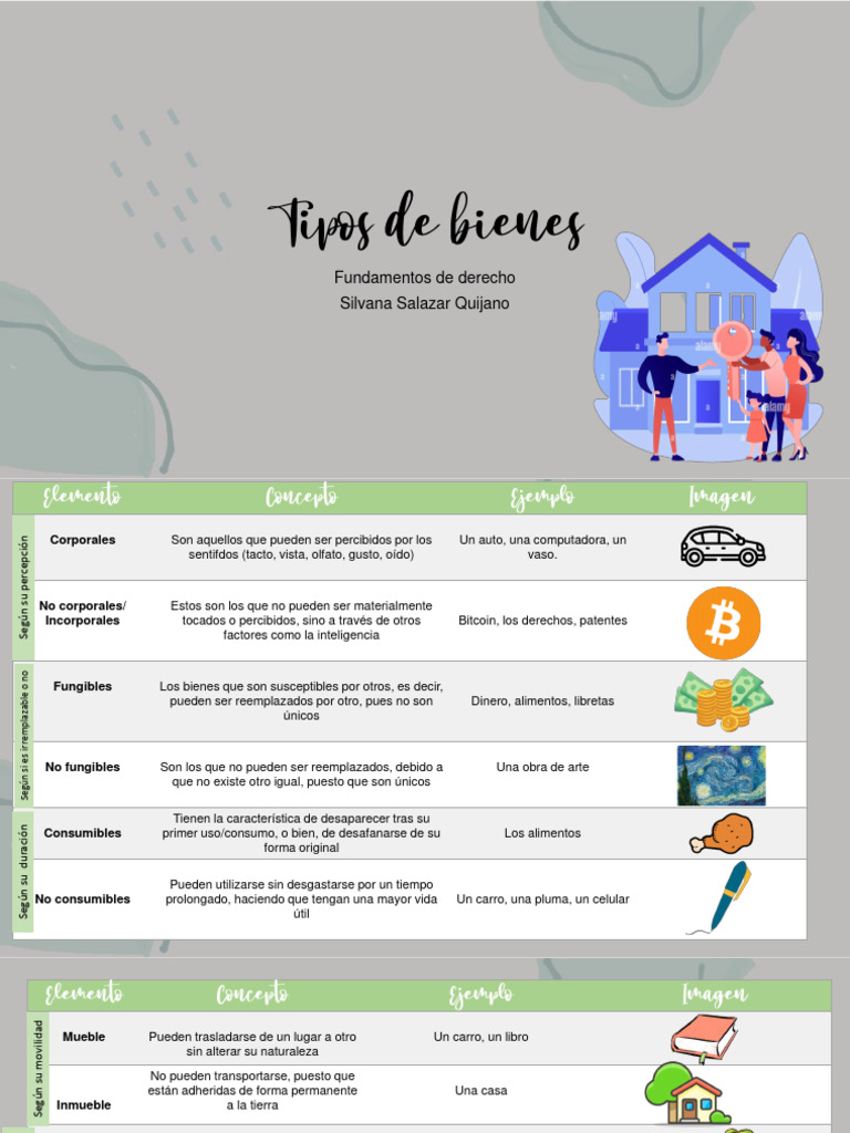 Clasificación de Los Bienes | PDF