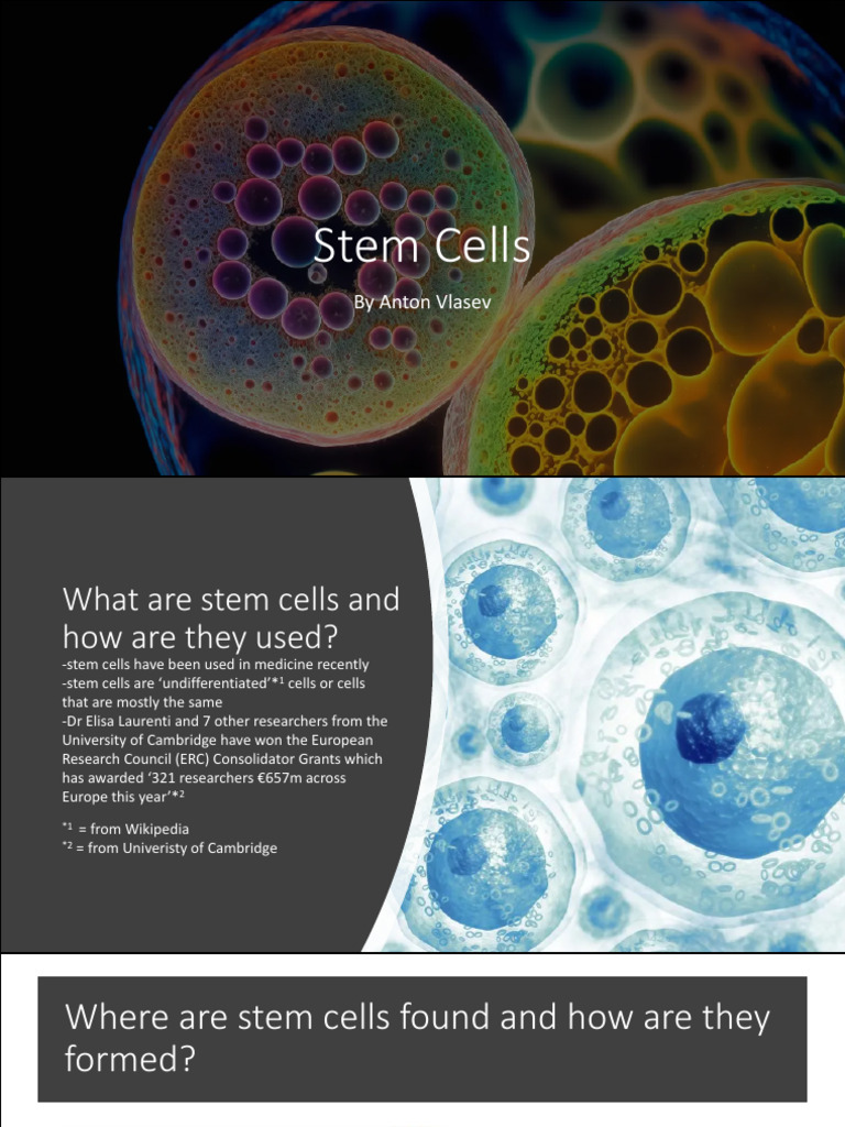 Stem Cells in Cancer Treatment | PDF | Stem Cell | Hematopoietic Stem ...