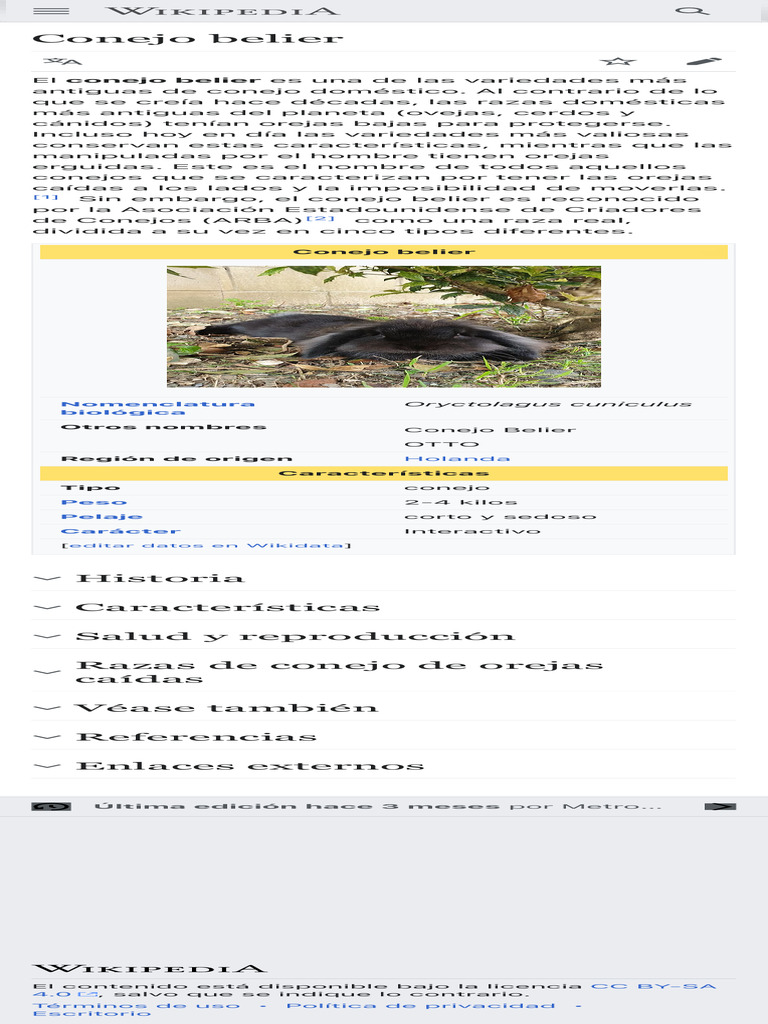 Conejo Belier - Wikipedia, La Enciclopedia Libre | PDF