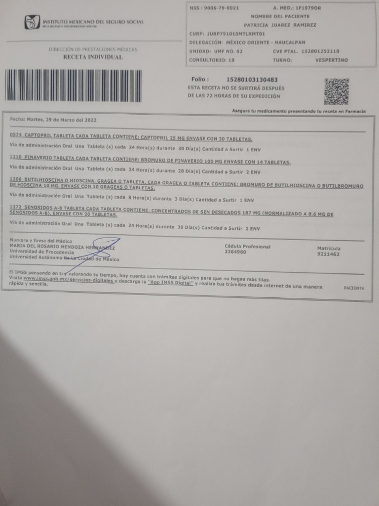 Paty | PDF
