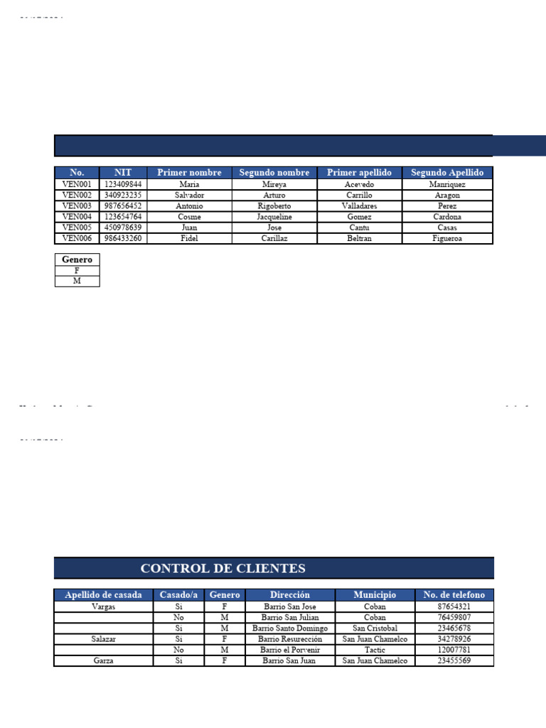 Control de Clientes | PDF