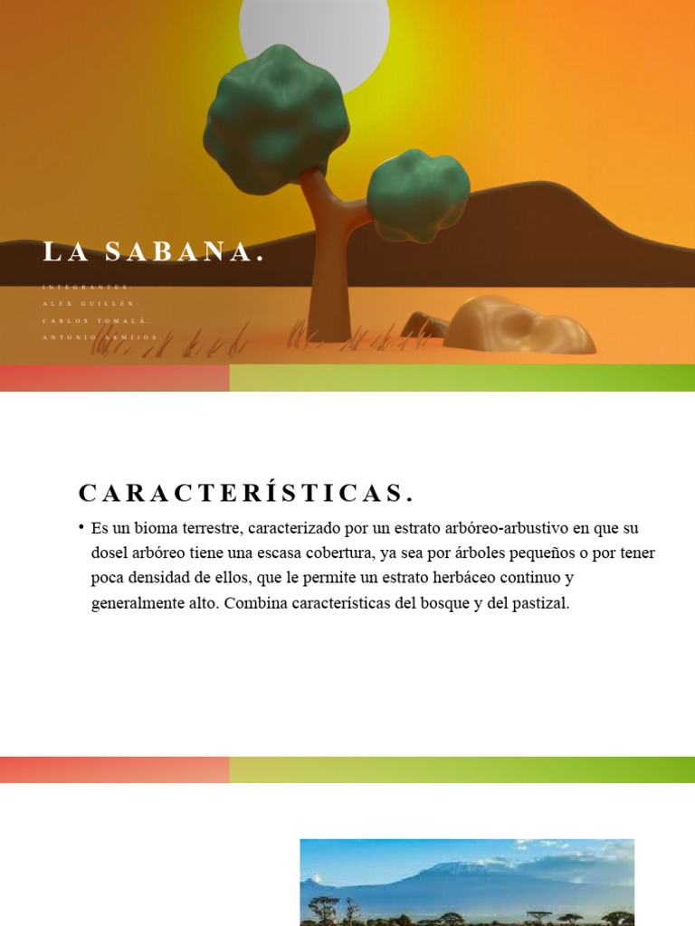 Diapositivas Del Bioma de La Sabana | PDF | Hogar, jardinería y bricolaje