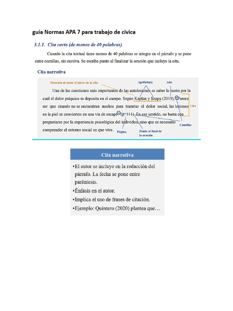 Guía de Normas APA 7 para Cívica | PDF