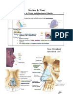 Respiratory System Mnemonics Fixed | PDF