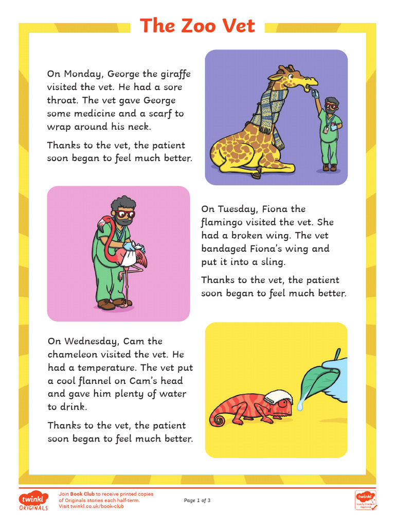 T or 1155 Year 1 The Zoo Vet Differentiated Reading Comprehension ...