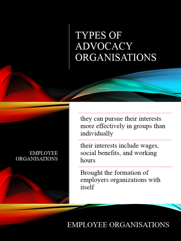 Types of Advocacy Organisations | PDF | Employment | Non Governmental ...