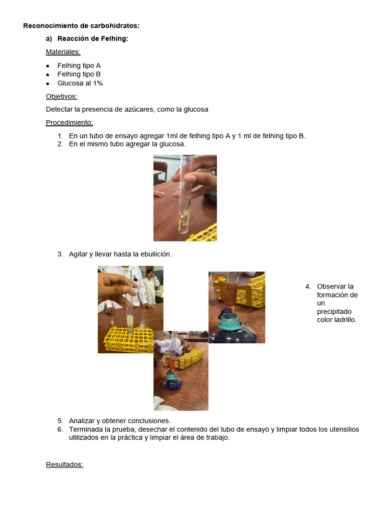 Detección de Azúcares con Reacción de Fehling | PDF