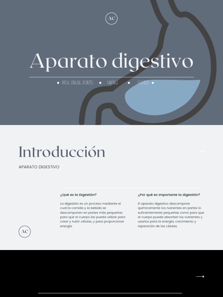 Anatomía y Función del Aparato Digestivo | PDF | Esófago | Digestión