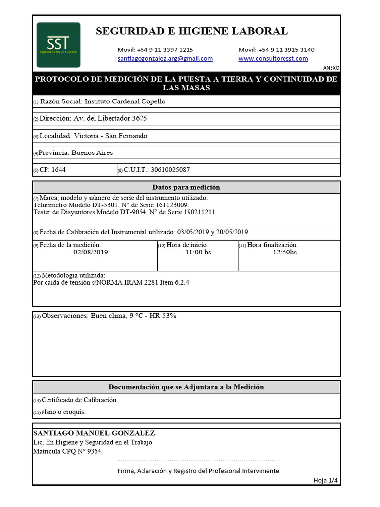 Protocolo de Puesta A Tierra 900-15 Formato SST Copello | PDF ...