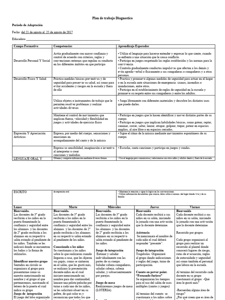 Plan de Trabajo 2017DIAGNOSTICO Matu | PDF | Comportamiento | Ritmo