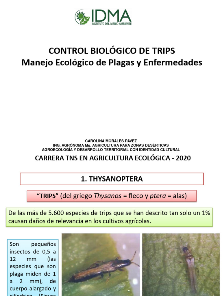 Control Biologico Trips | PDF | Control biológico de plagas | Virus