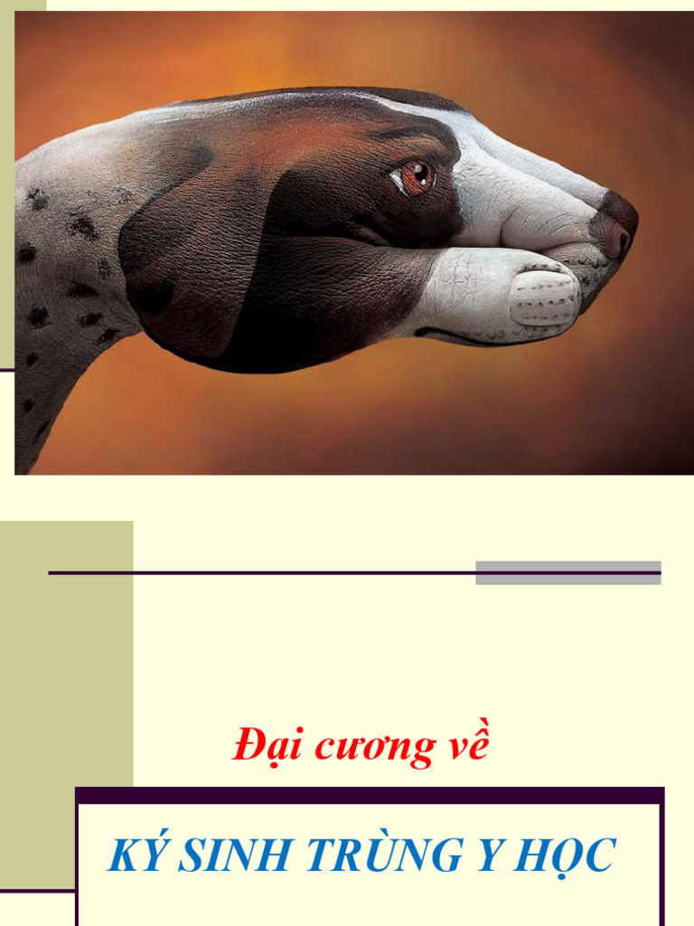 1 Dai Cuong KST | PDF